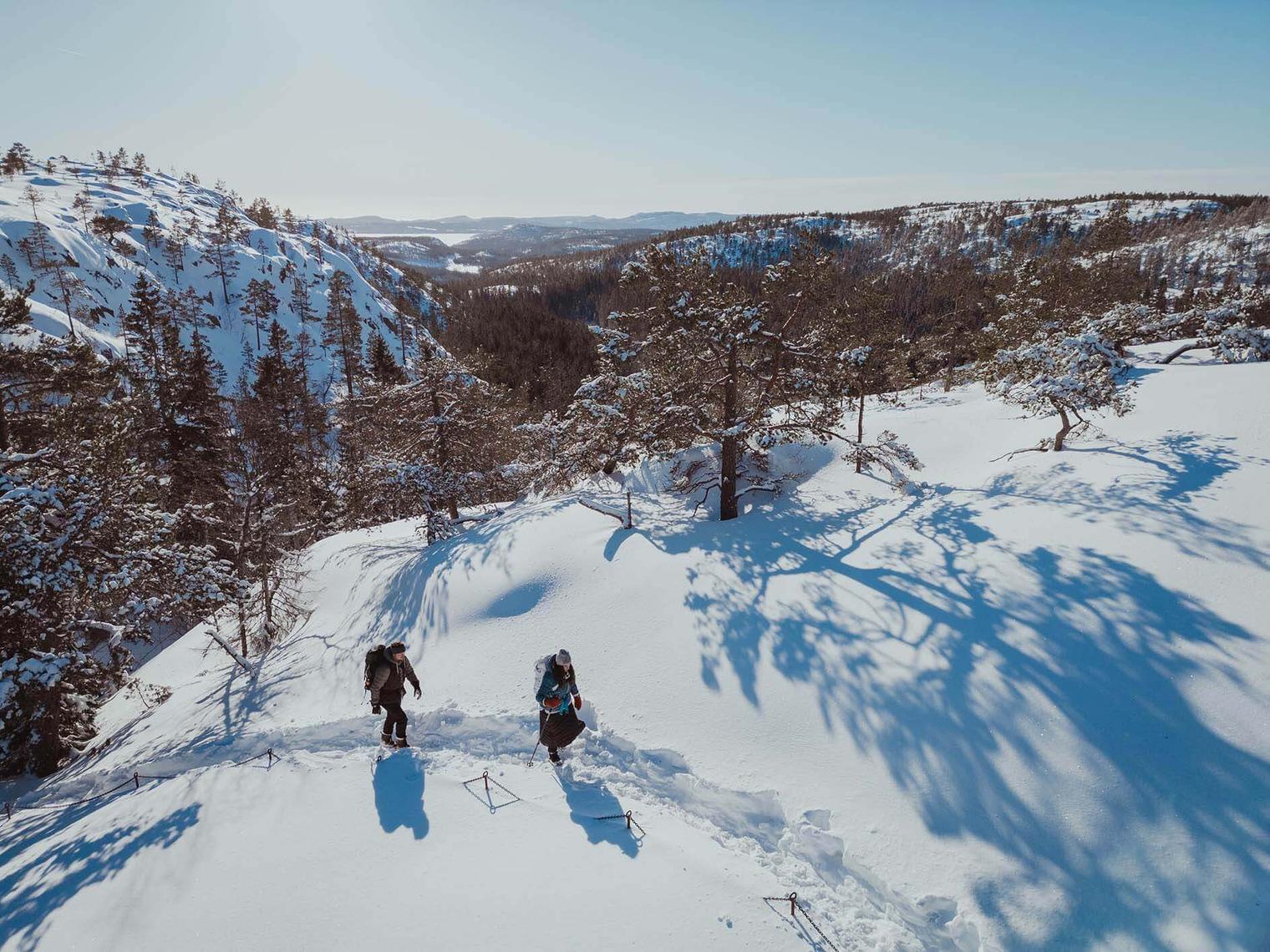 Shop Varg | True Nordic Spirit in Outdoor Wear | Official Store